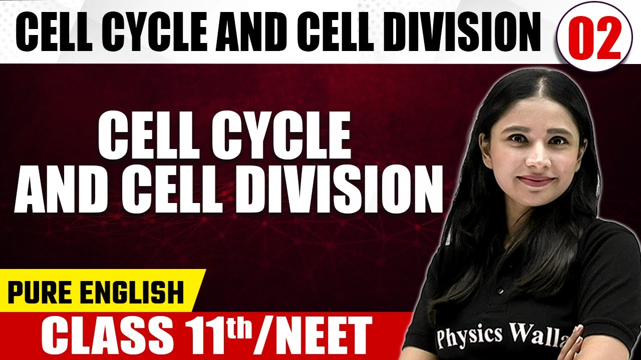CELL CYCLE AND CELL DIVISION 02 | Botany | Pure English | Class 11th ...
