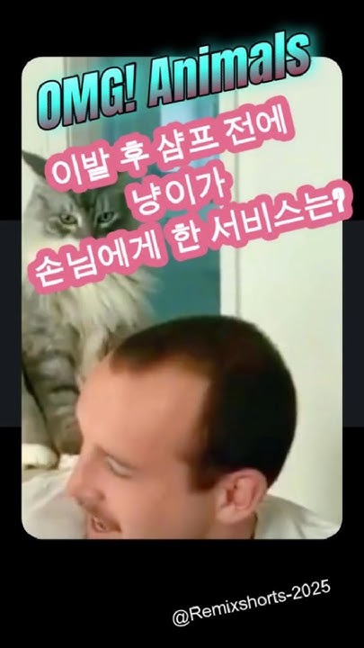미용실 냥이의 서비스 OMG! Animals-S0006-hair salon service #cat #cute #headache #funny # #pets #funnycats ...
