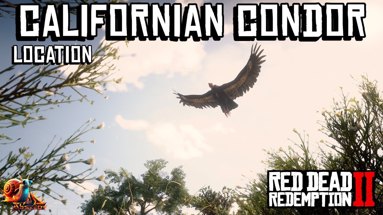 Californian Condor Location - Red Dead Redemption 2 - YouTube