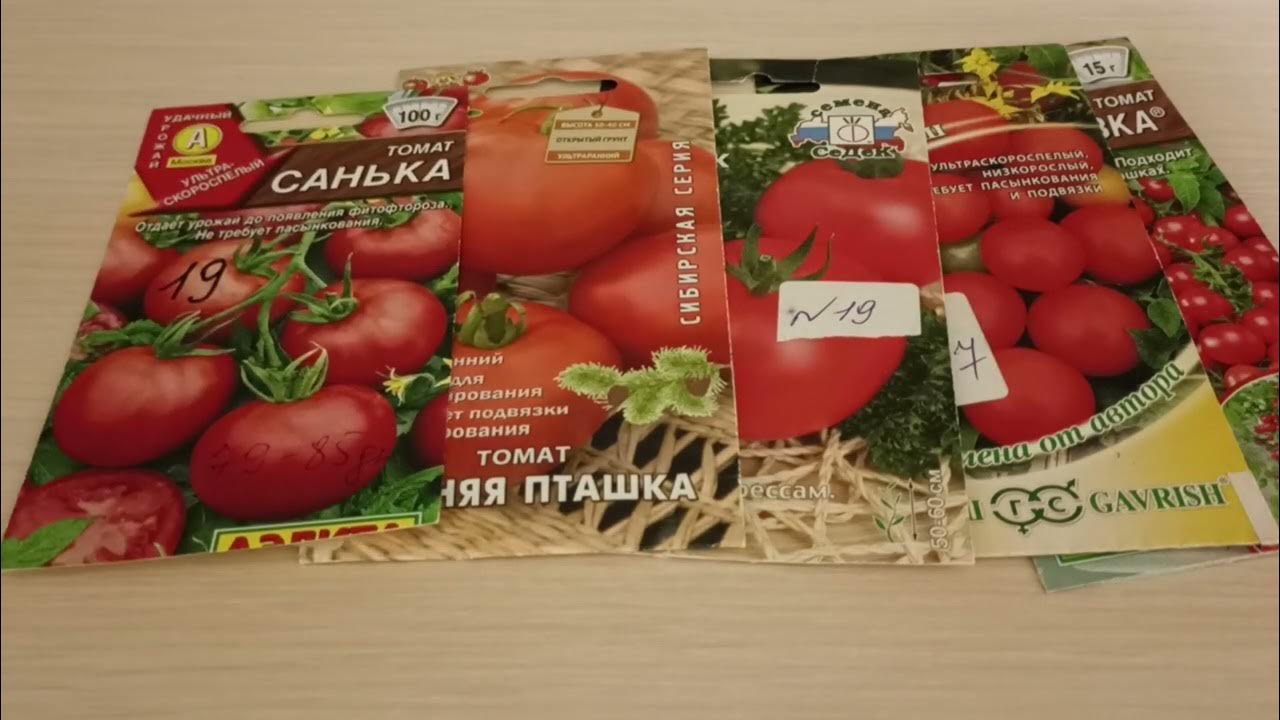 Томаты ультра ранние для открытого грунта - YouTube