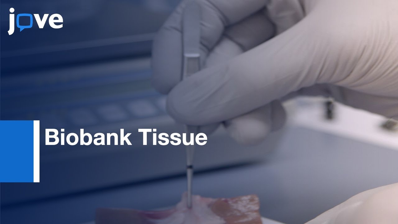 Biobank Tissue of Porcine Biomedical Models: Sampling and Processing ...