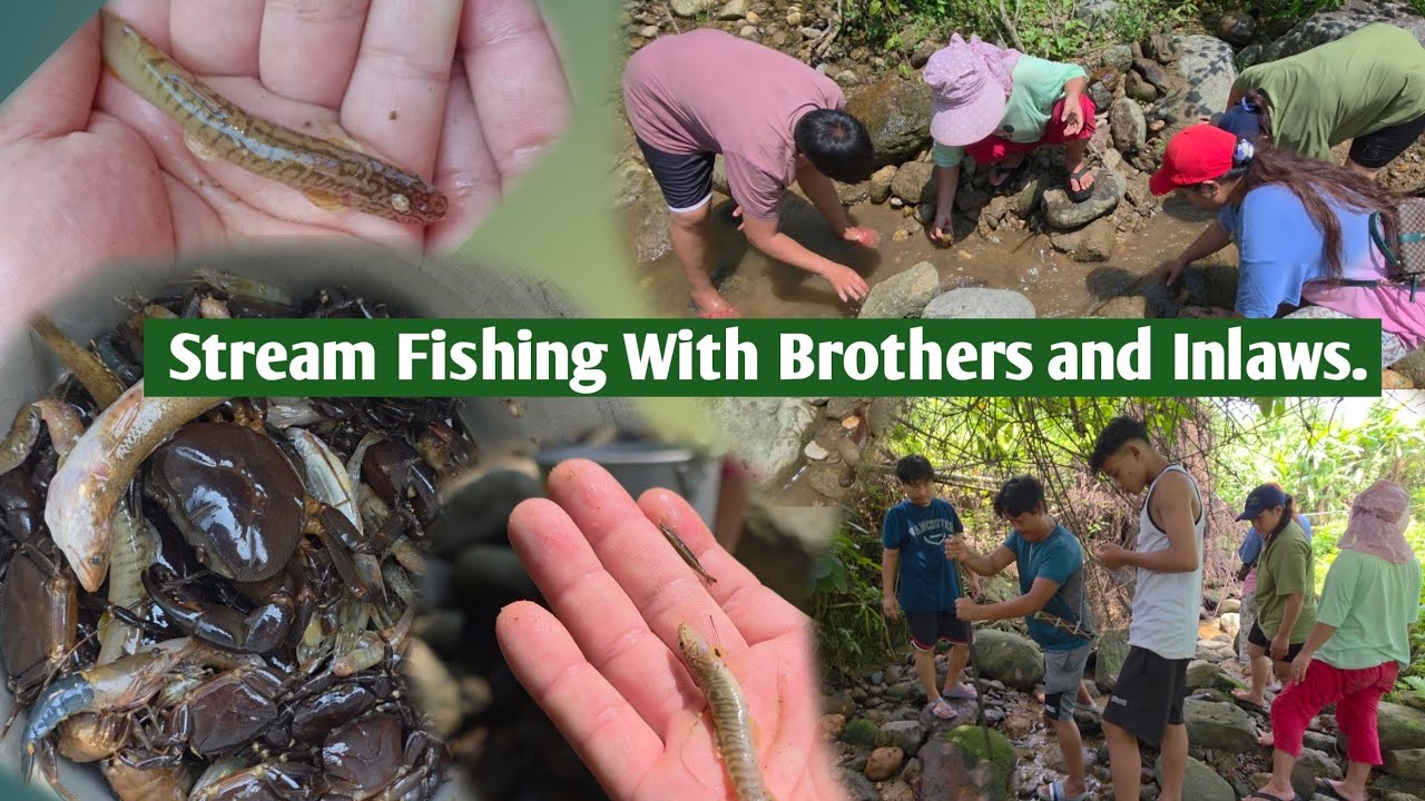Stream Fishing || Drying water technique || Catching Crabs, Shrimps ...
