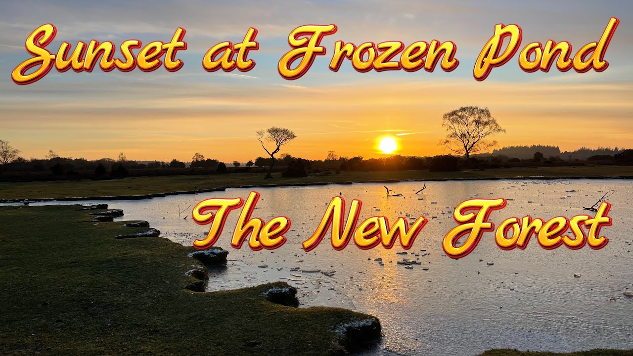 Sunset at Frozen Pond in the New Forest - YouTube