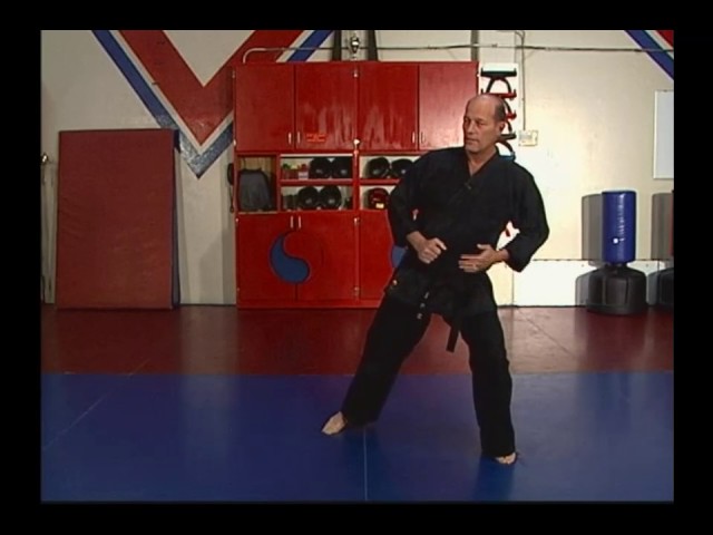 Hapkido Stance