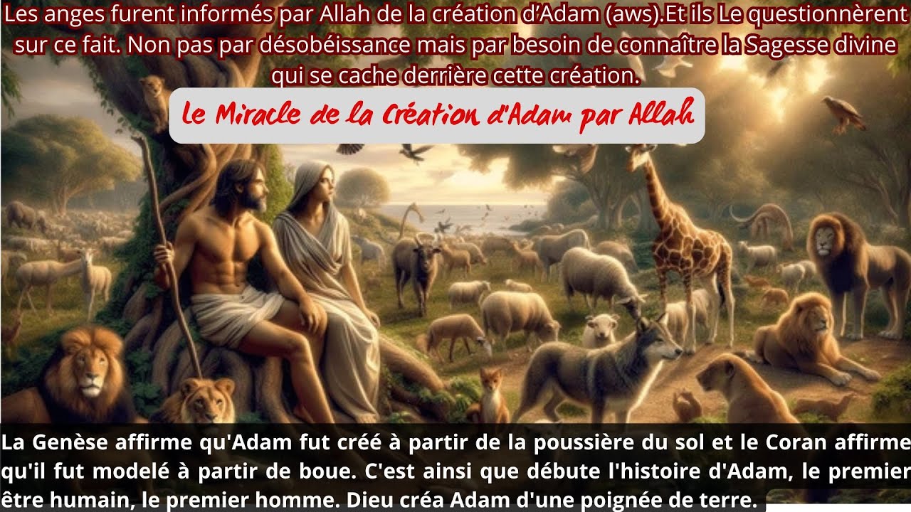 Le Miracle de la Création d'Adam par Allah - YouTube