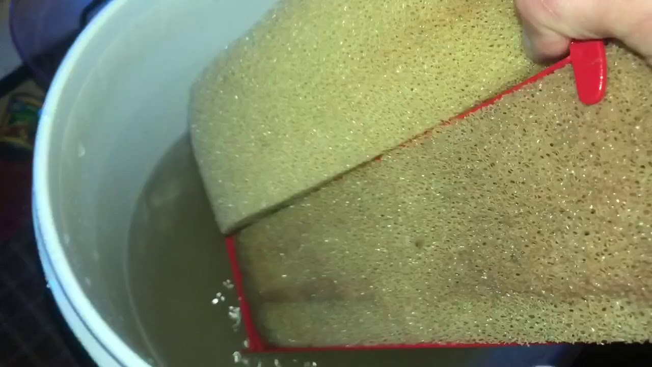 How to do regular maintenance on a fluval 406 and a helpful tip and ...