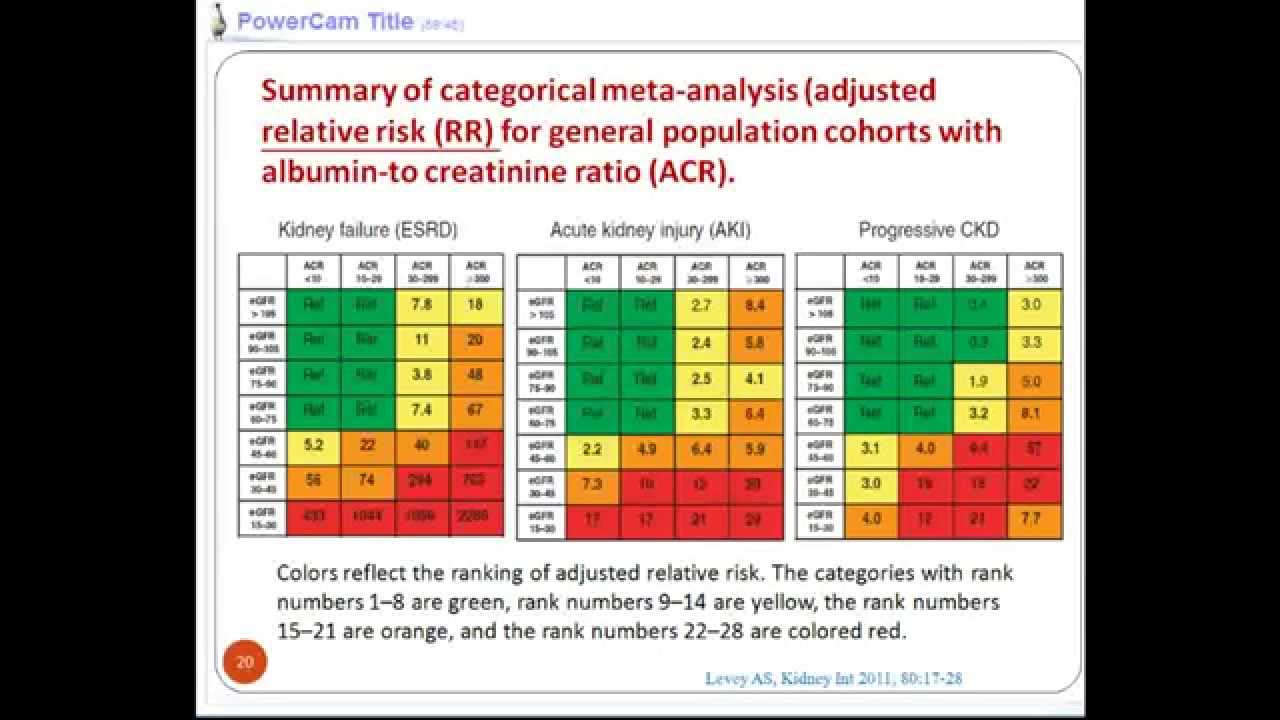 Chronic kidney disease -2012 CKD 內科醫學會 - YouTube