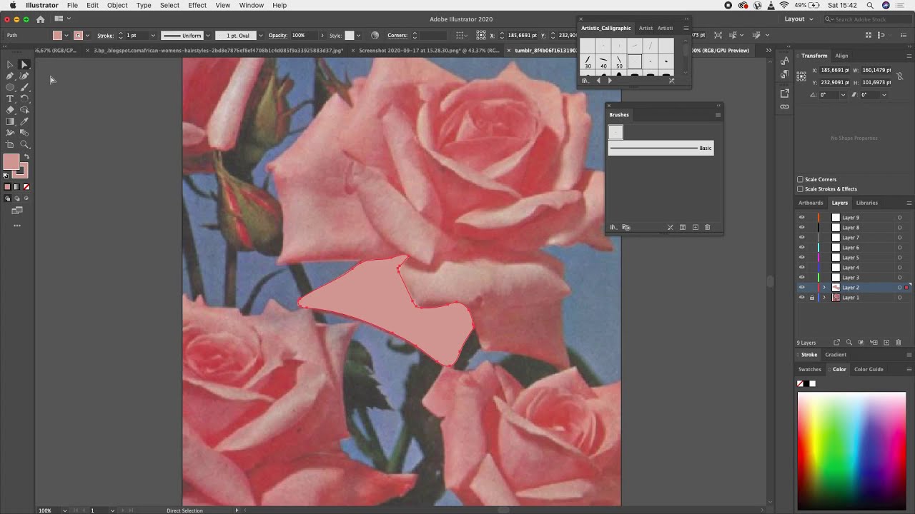 How to draw roses in Adobe Illustrator. - YouTube