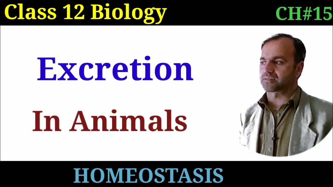 Excretion | Excretion in animals of Different environment ...
