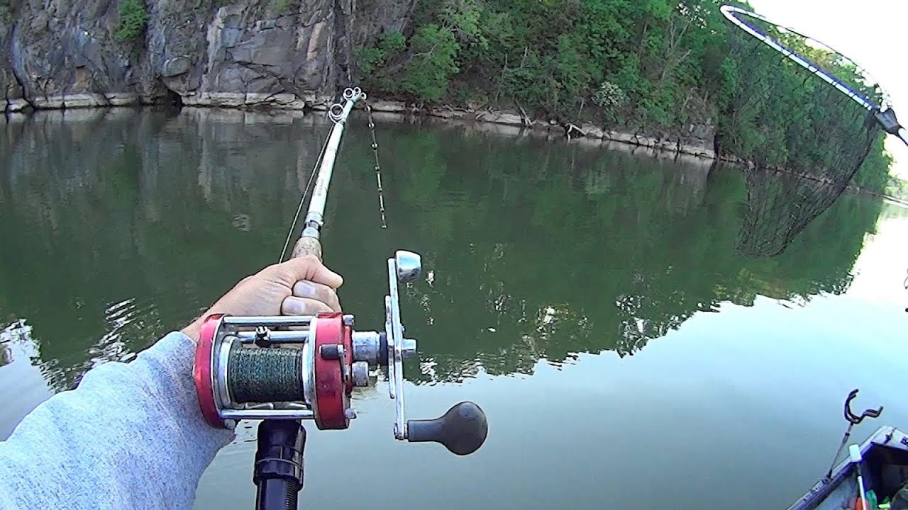 Big Fish On The Line - YouTube