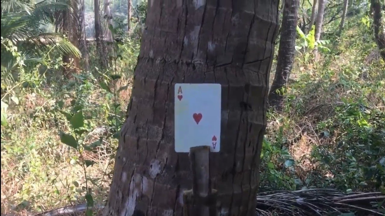 Shooting playing card at 45 meters open sight | Air rifle | India ...
