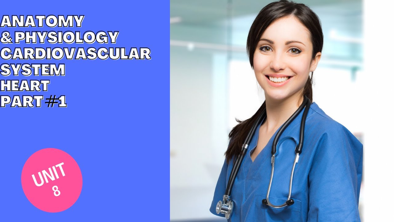 CARDIOVASCULAR SYSTEM | HEART| PART #1 BSC NURSING | ANATOMY AND ...