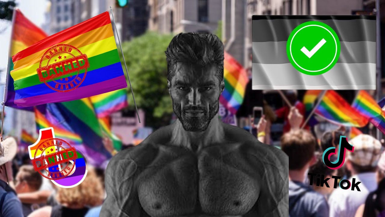 Cold Moment Tiktok Version🥶|Sigma🗿 vs Lgbtq🏳️‍🌈|Season 2(Part-3) - YouTube