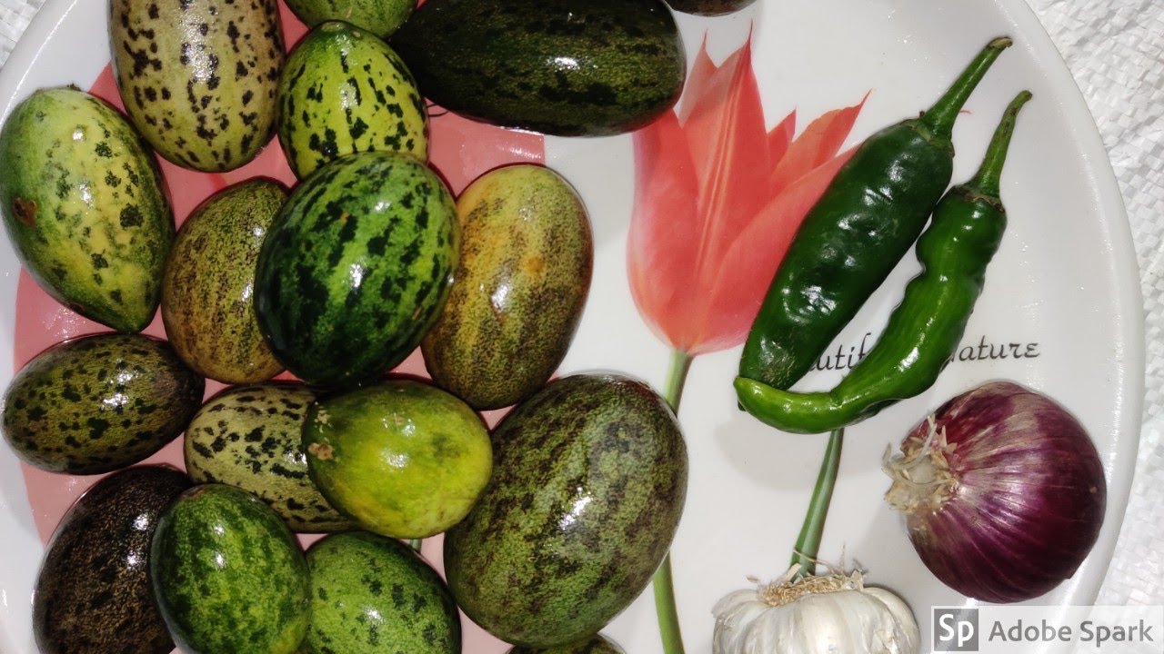 Rajasthani desi famous kachri sabji recipe in Hindi//राजस्थानी देसी ...