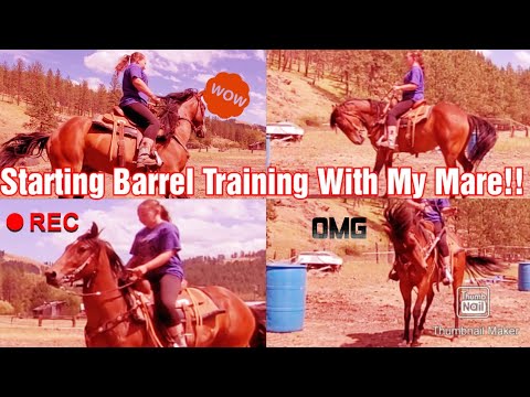 Starting Barrel Training With My Mare For The 1st Time - YouTube