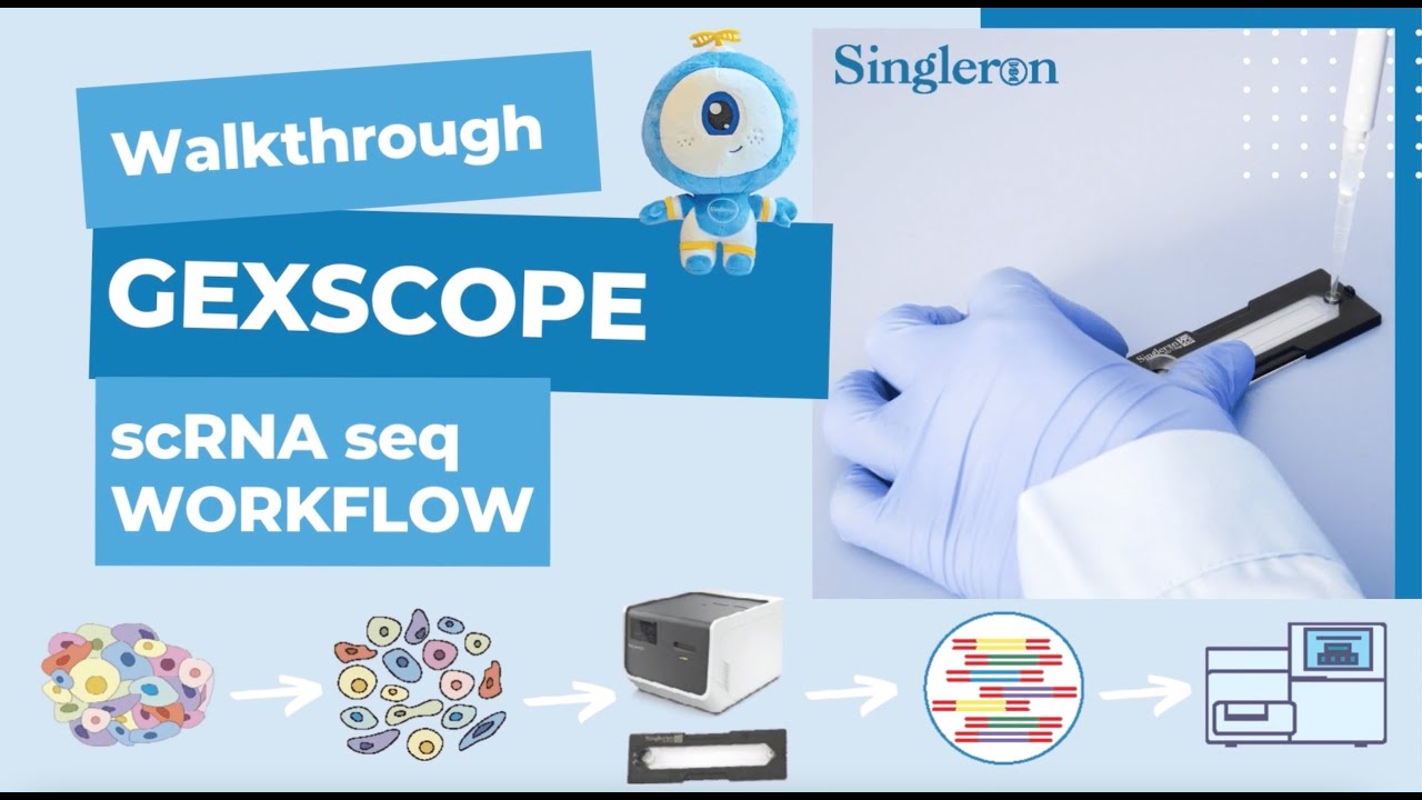 GEXSCOPE workflow - YouTube