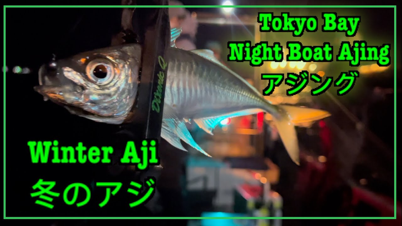DQ Tokyo Bay Boat Ajing/ Night Ajing /Japan Winter Fishing/ 冬のアジ / アジング ...