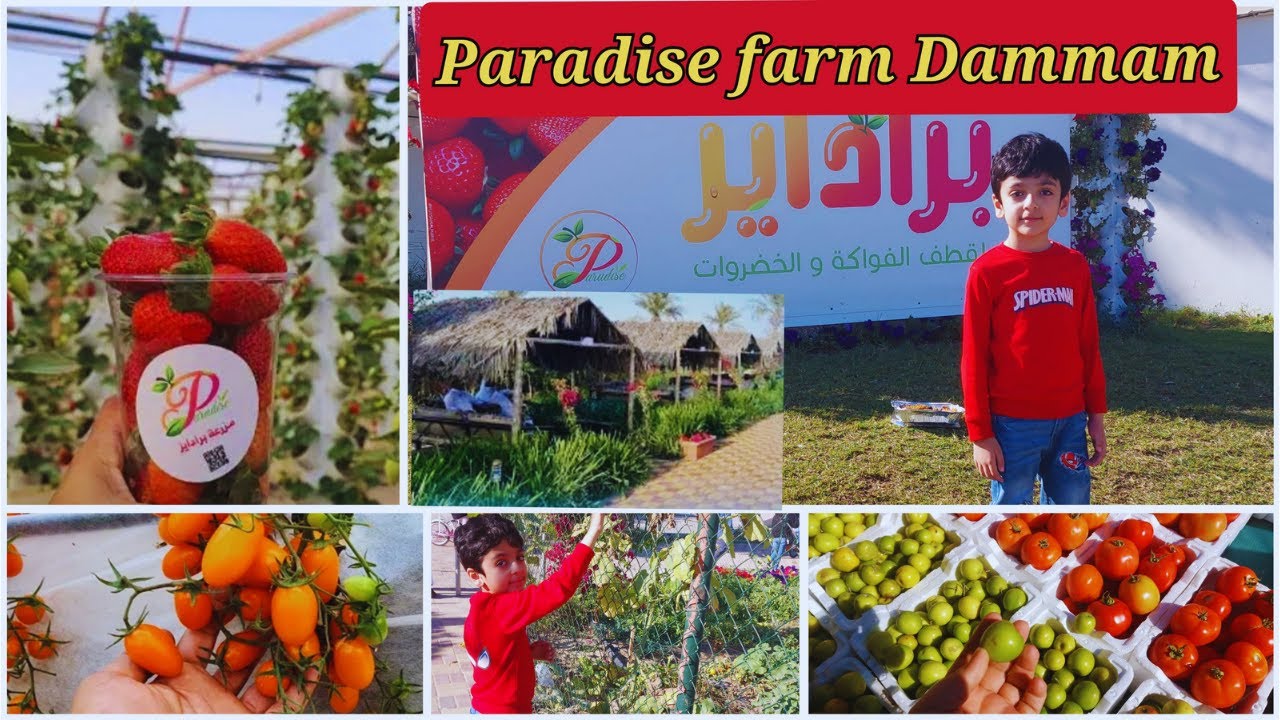 Paradise Farm Dammam | Perfect Weekend Getaway Spot Dammam| Paradise ...