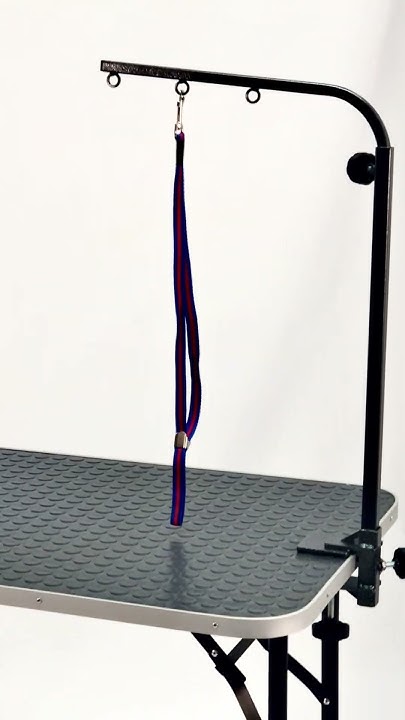 Стол для груминга wikiGROOM S1 складной 120 x 60 см - YouTube