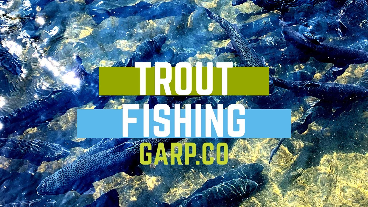 Trout fishing Bennet Springs - YouTube