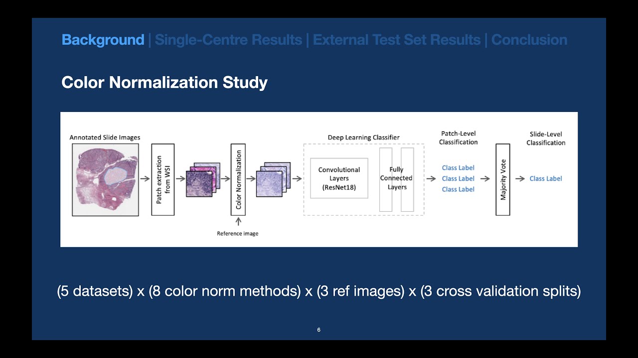 The Utility of Color Normalization for AI-Based Diagnosis of H&E ...