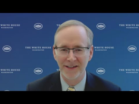 White House COVID testing advisor Dr. Tom Inglesby talks about free ...