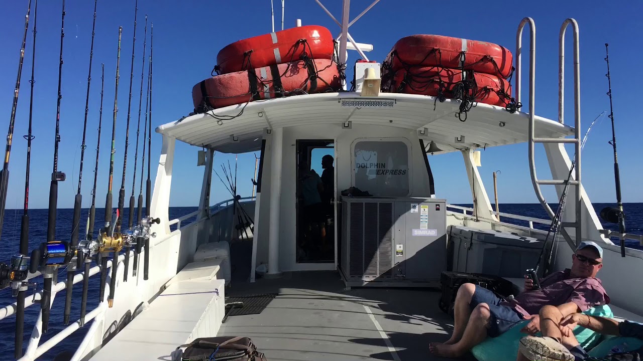 Dolphin Dock October 50 Hour - YouTube