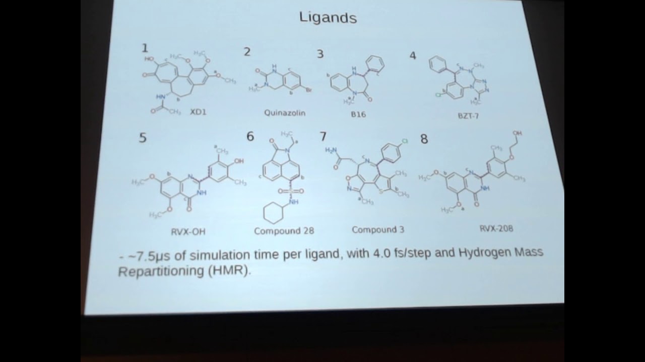 Germano Heinzelmann - Workshop on Free Energy, Kinetics, & MSM in Drug ...