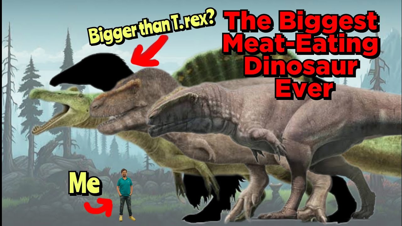 The Biggest Meat-Eating Dinosaur Ever! सबसे बड़ा मांसाहारी डायनासोर ...