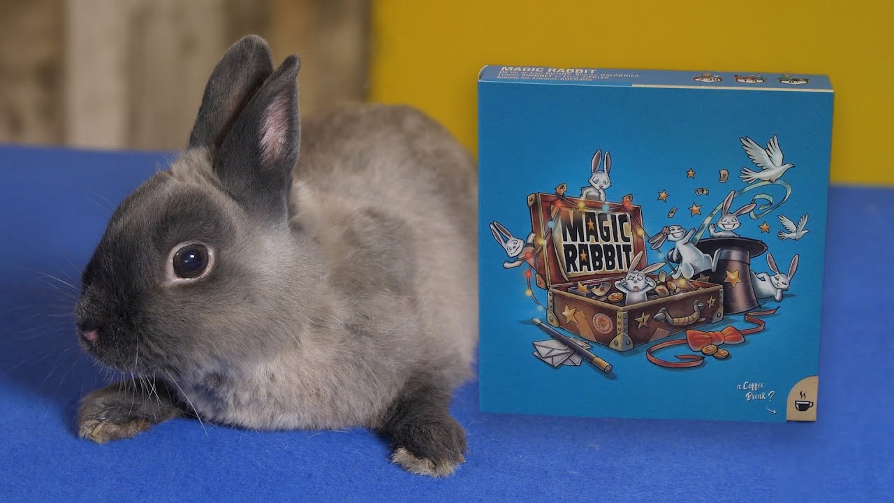 Magic Rabbit - Comment Jouer - YouTube