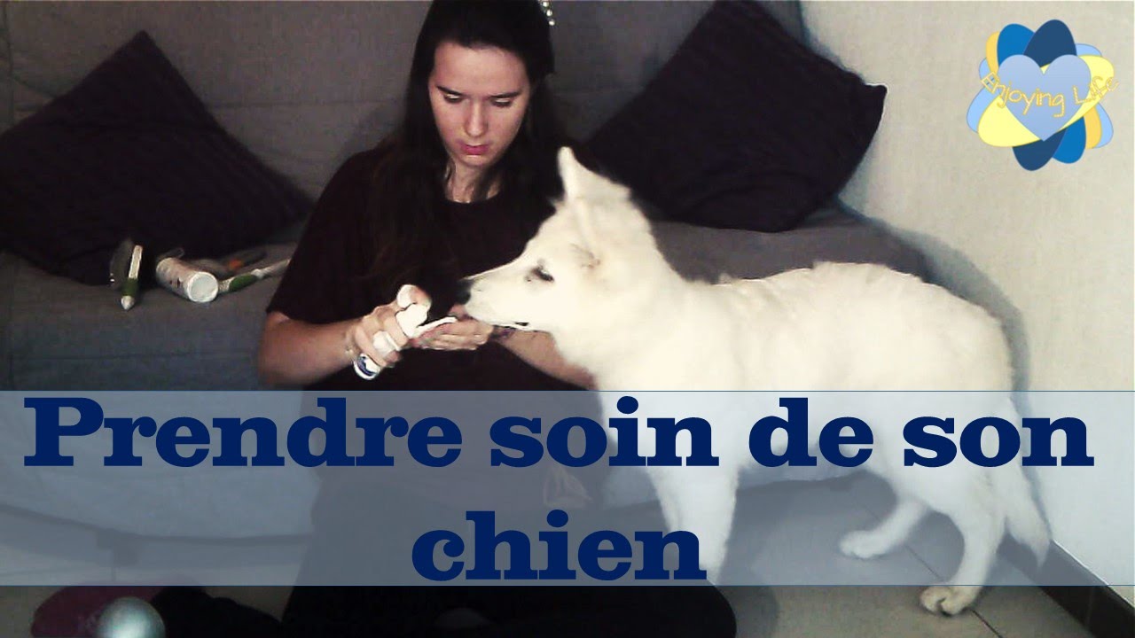 TUTO ♡ Prendre soin de son chien/chiot ♡ Les produits d'hygiène ...