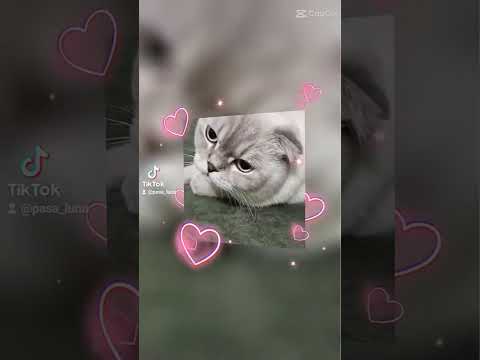 Şuna bir bak Allah özenerek yaratmış