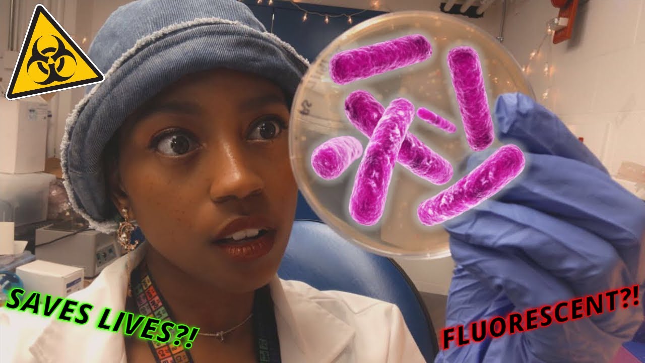 HOW TO MAKE FLUORESCENT BACTERIA🦠… - YouTube
