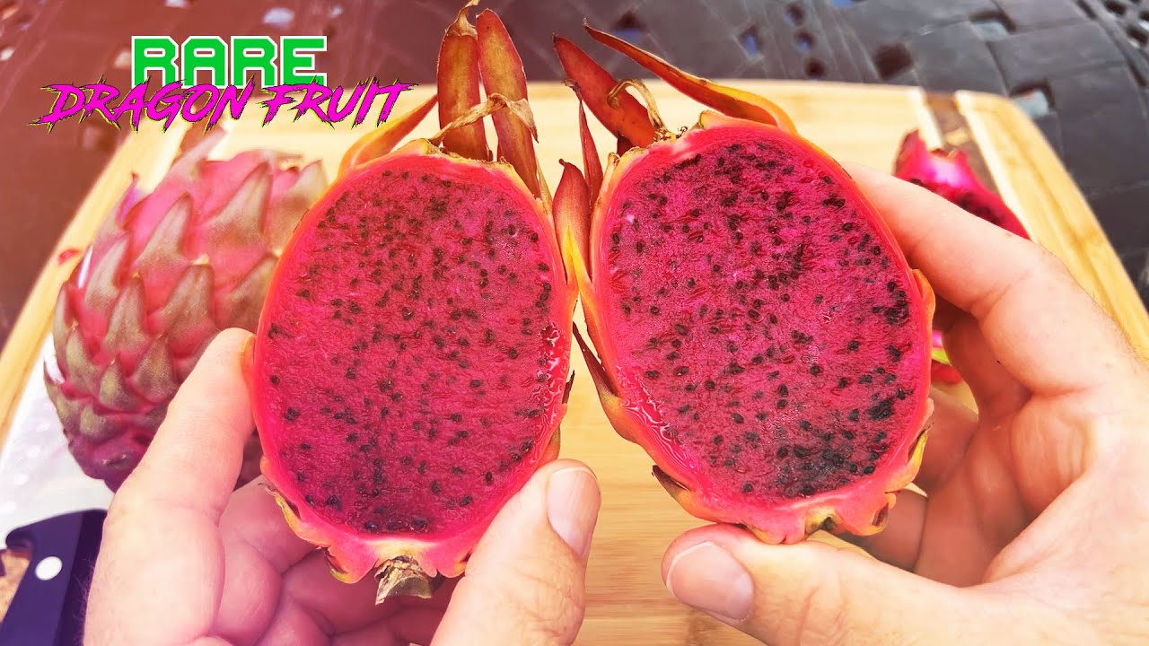 'GRAY' PANAMA DRAGON FRUIT TASTE and REVIEW / SWEET BEETS / Should YOU ...