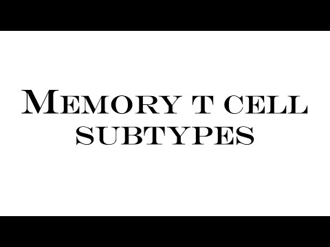 Get to know memory T cell subtypes! - YouTube