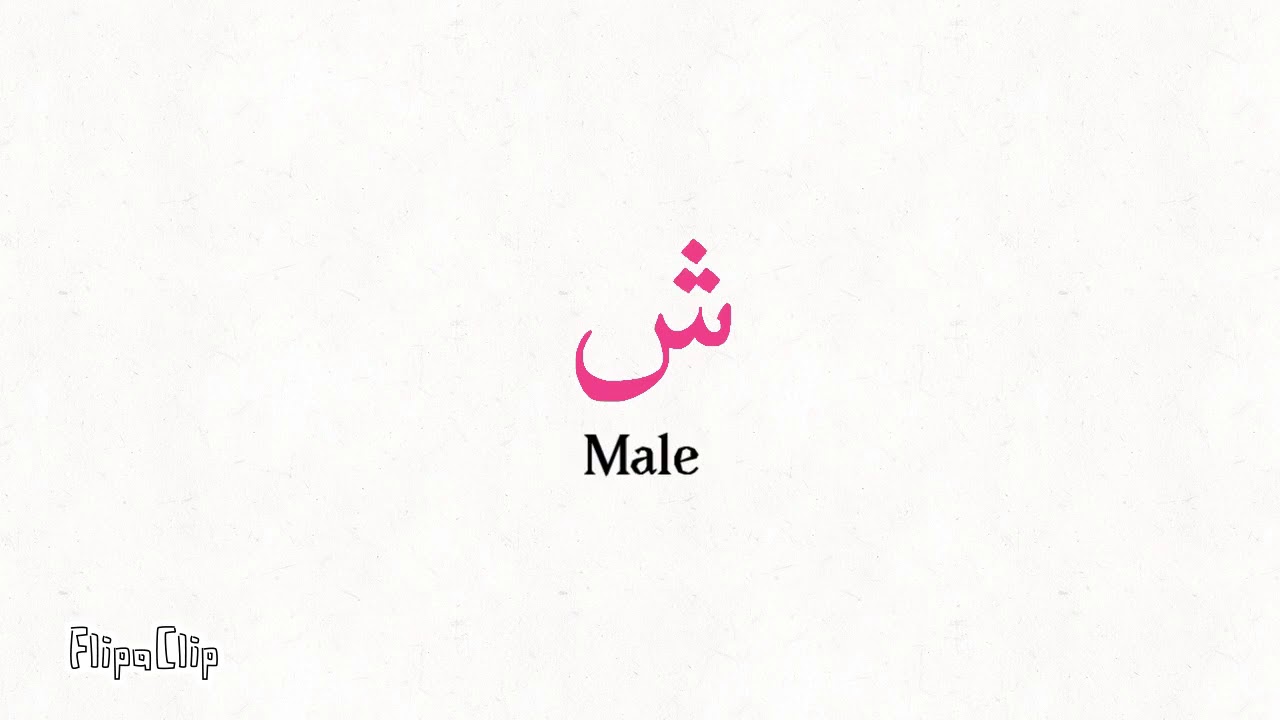 the REAL TVOKids Arabic Letters Genders - YouTube