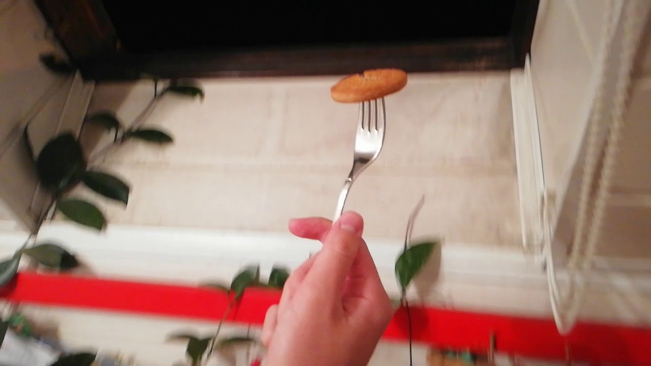 Throwing a cookie out the window. - YouTube