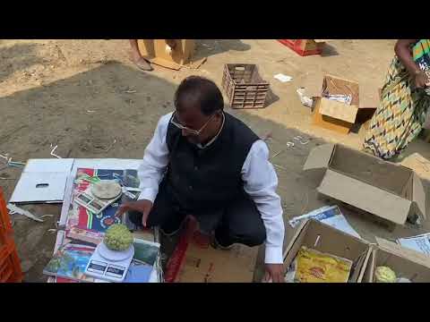 Big size fruits of ALANKAR FARMS, PARNER, TALUKA AMBAD, DISTRICT JALNA ...