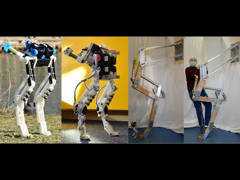 BirdBot achieves energy-efficient gait with minimal control using avian ...