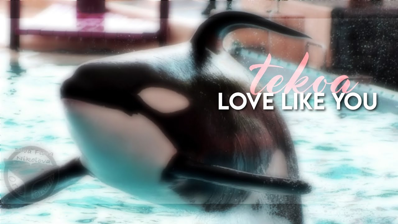 𝙇𝙤𝙫𝙚 𝙡𝙞𝙠𝙚 𝙮𝙤𝙪 . Tekoa - YouTube