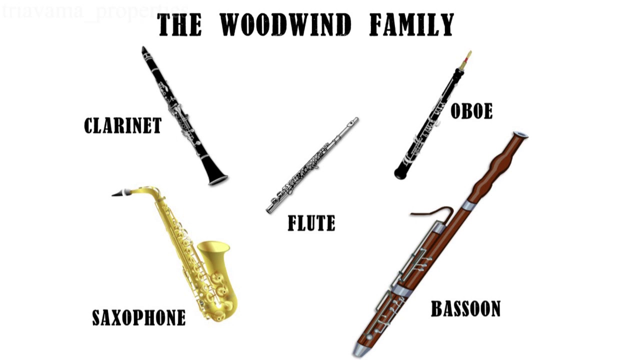 TC_LEARNING | TYPES OF MUSIC TOOLS BASED ON SOURCE OF SOUND | JENIS ...