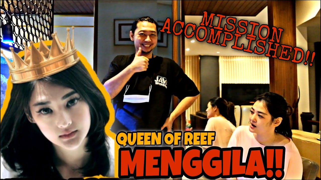 QUEEN OF REEF MENGGILA!!! | LAGOON REEFTANK 180CM FULL OPTIC CLEAR ...