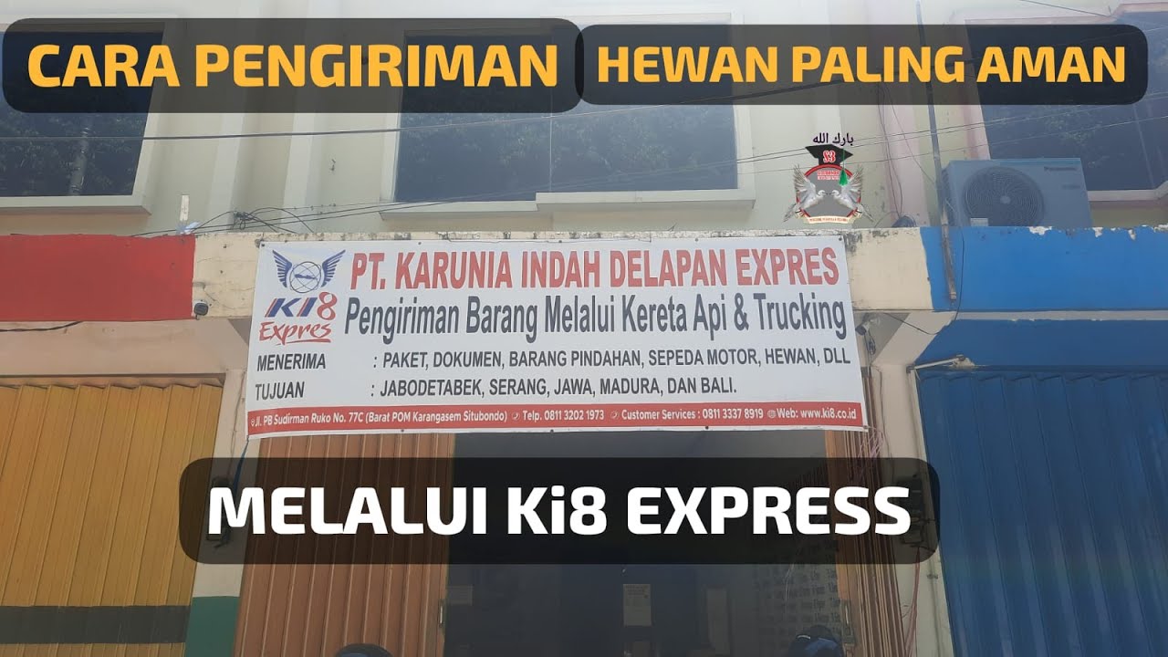 Cara Pengiriman Hewan Paling Aman Melalu Ki8 Express # ...