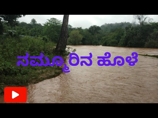 Kuruva Island Crocodile