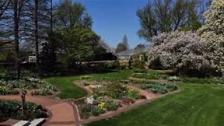 Spring Displays at the Missouri Botanical Garden