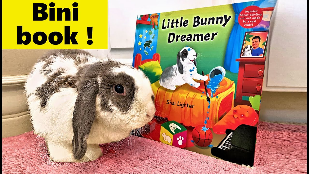 Bini the Bunny gets his own Kids Book - Little Bunny Dreamer - YouTube