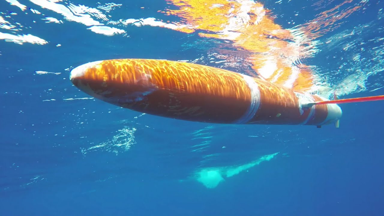 Western Boundary Currents and Spray Gliders - YouTube