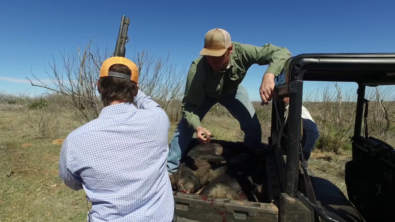 hoopty hunt - YouTube