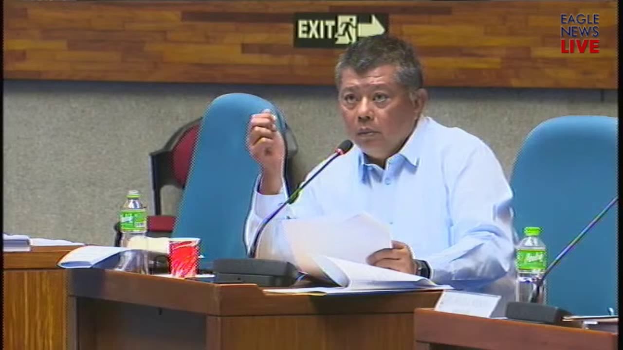 Rep. Remulla questions Amcara representatives, says dummy relationship ...