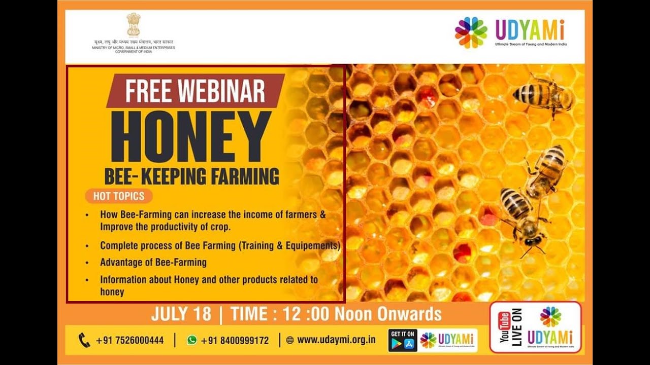 Beekeeping for Beginners | Free Webinar on the Fundamentals of Honey ...